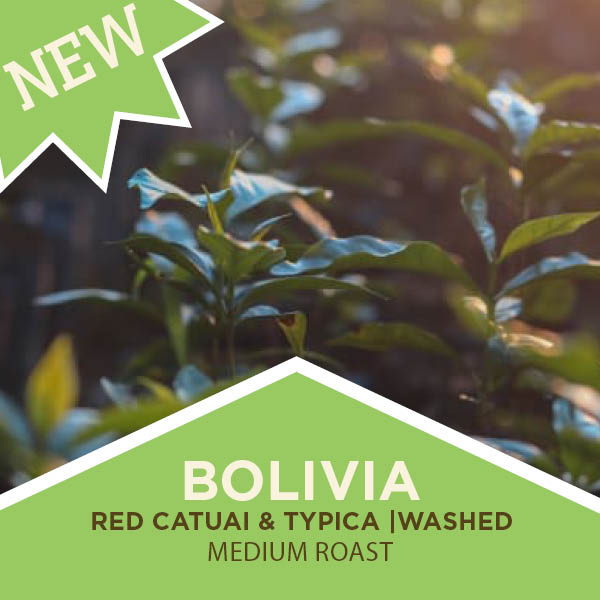 Bolivia | Red Catuai & Typica | Washed | Medium Roast – Tiny Footprint ...